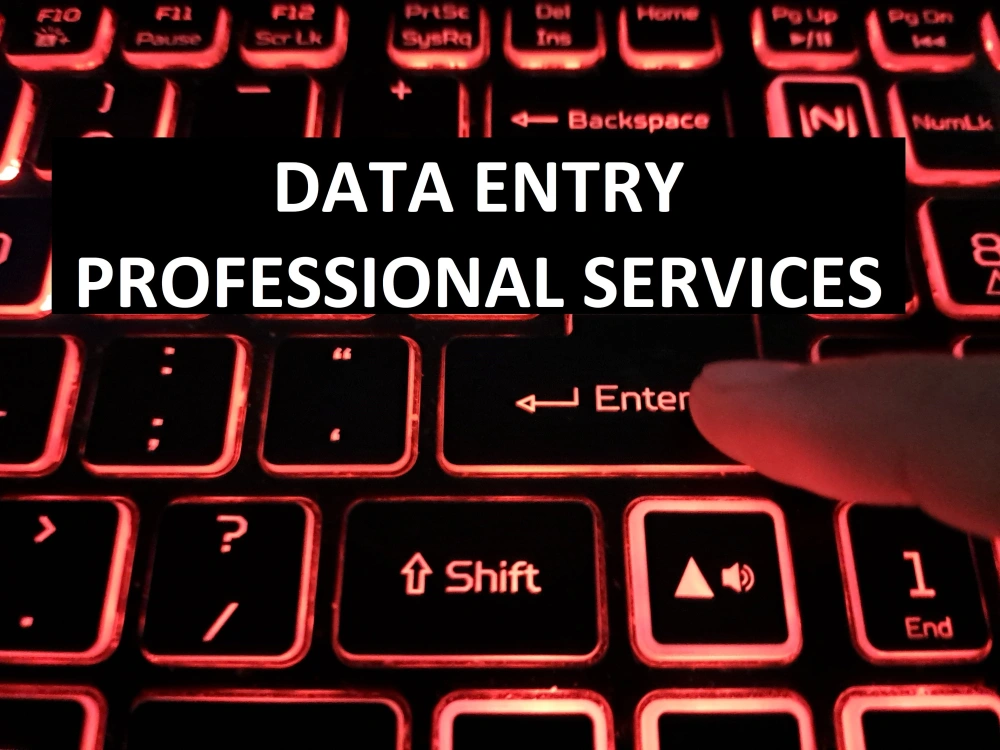 Data Professional Services - Data Entry: CRM, Excel, Spreadsheets, PDF ...