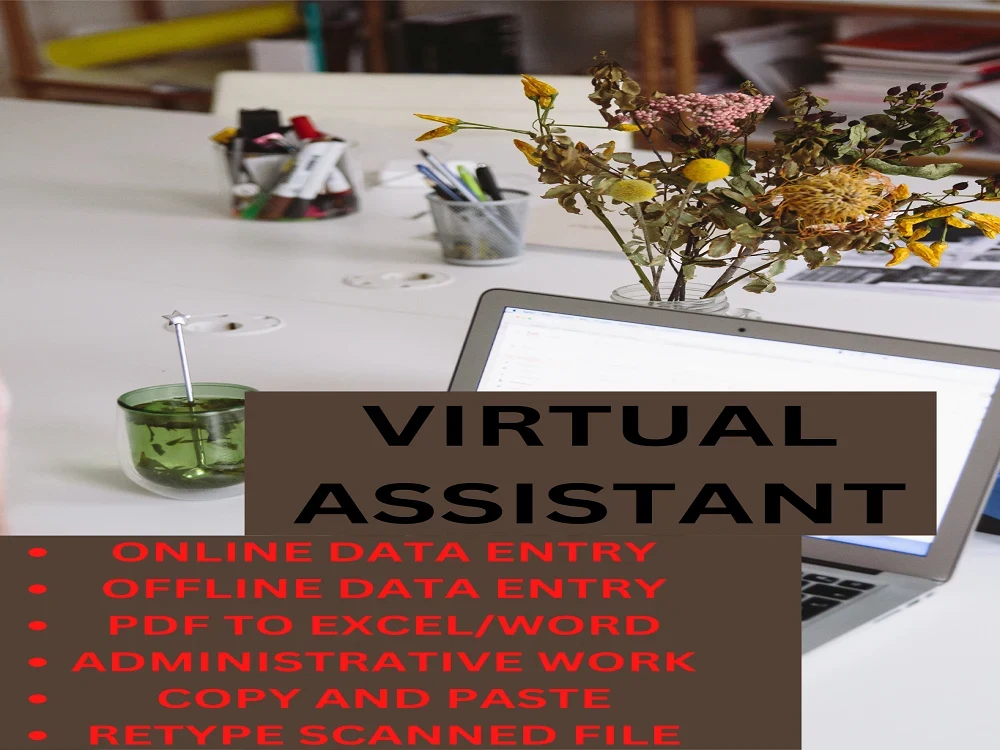 A Virtual Assistant for Data Entry, Web Research and List Building | Upwork