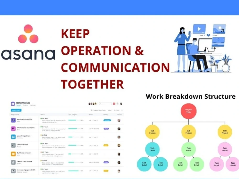An effective Asana Workspace & Project Management Support for your ...