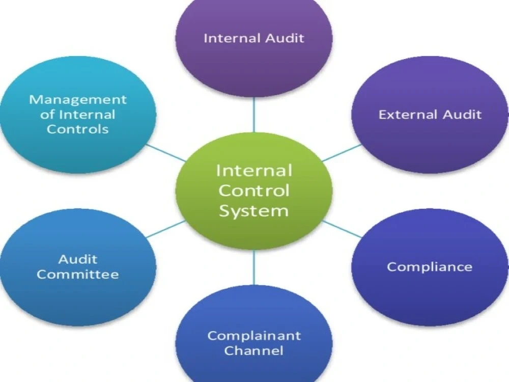 A comprehensive guide on Risk Management focusing on internal controls ...