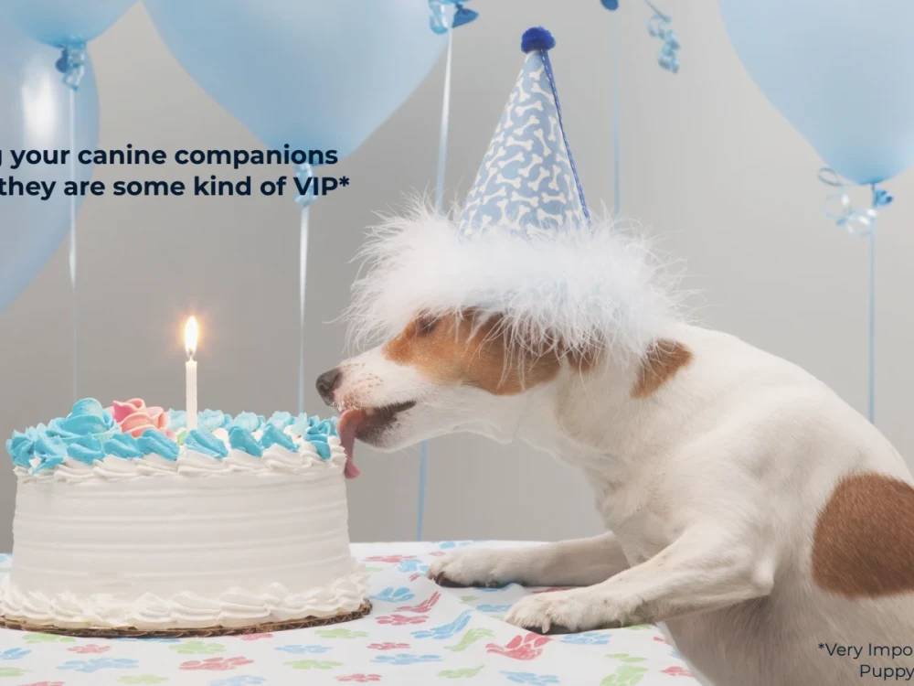 A compelling brand name and distinctive brand positioning in your ...