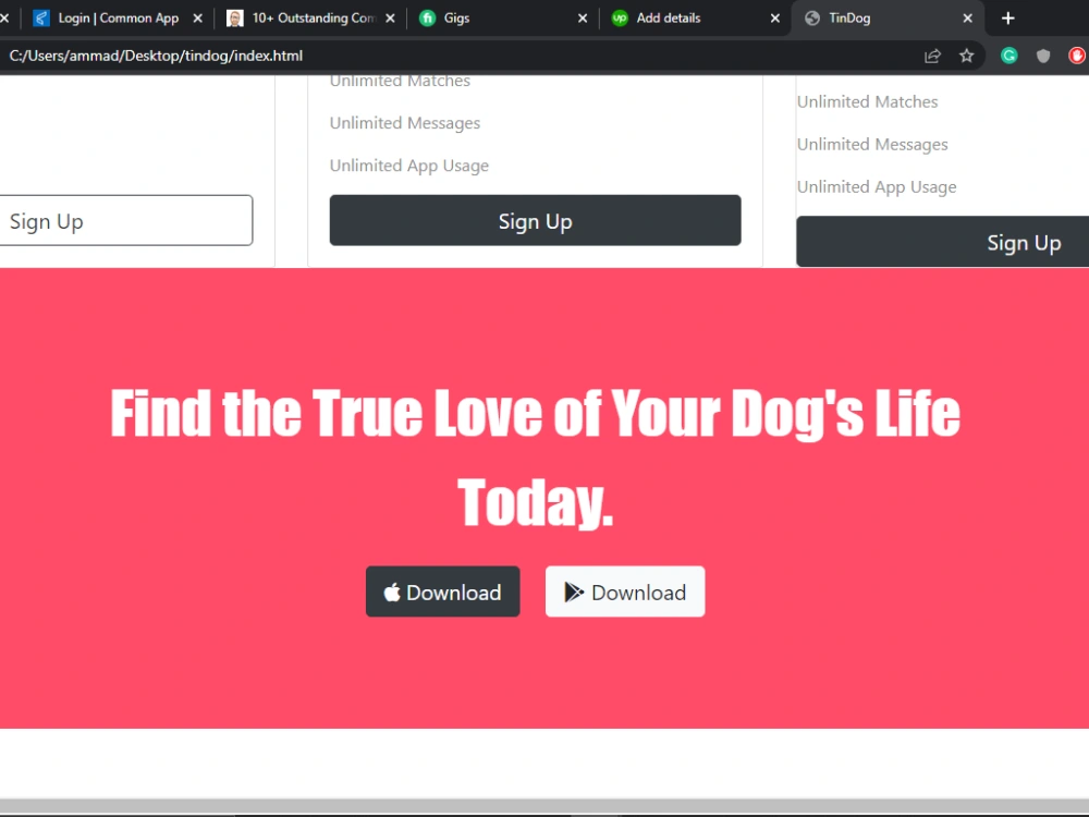 Interactive front end web page(HTML CSS JAVASCRIPT) that meets your need. | Upwork