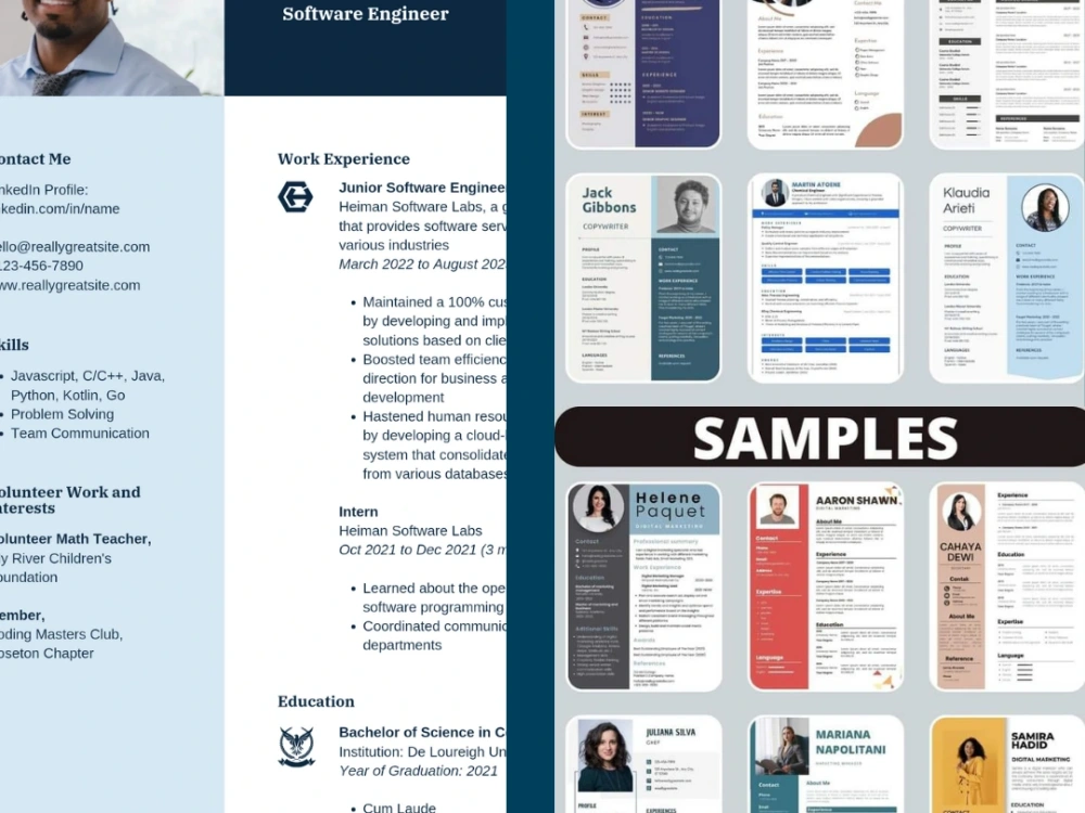 A professional cv Resume | Upwork