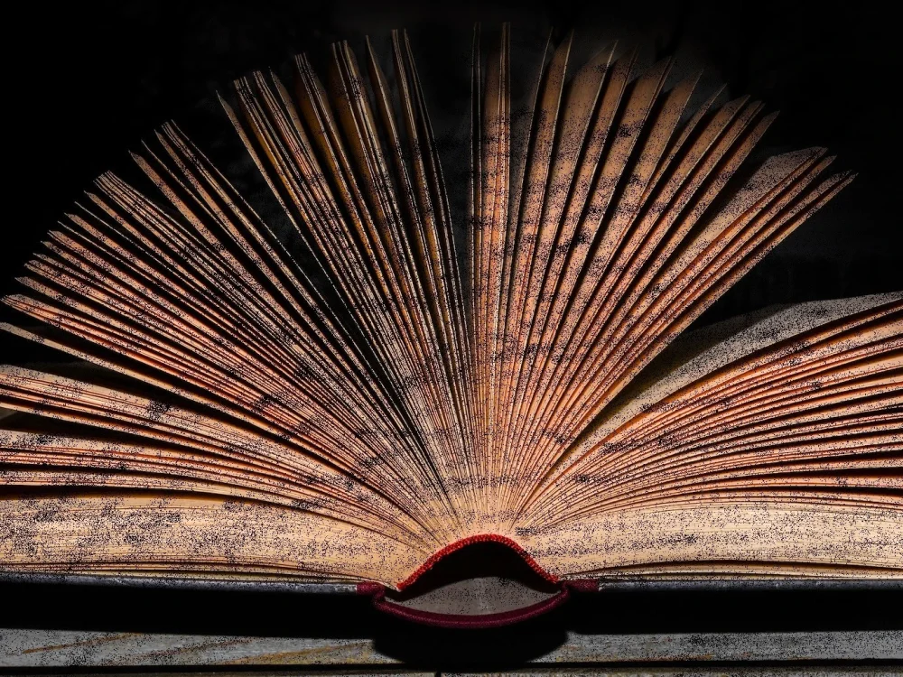 A proofreading and a correction of your thesis, books and personal ...