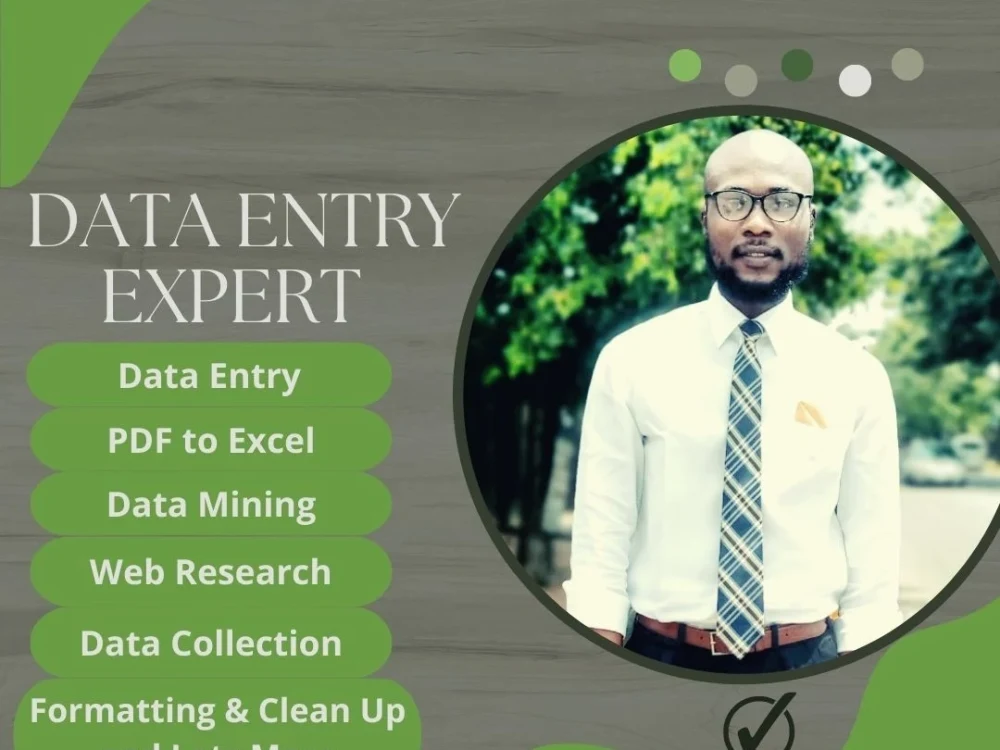 A professional, perfect and accurate web research and data entry ...