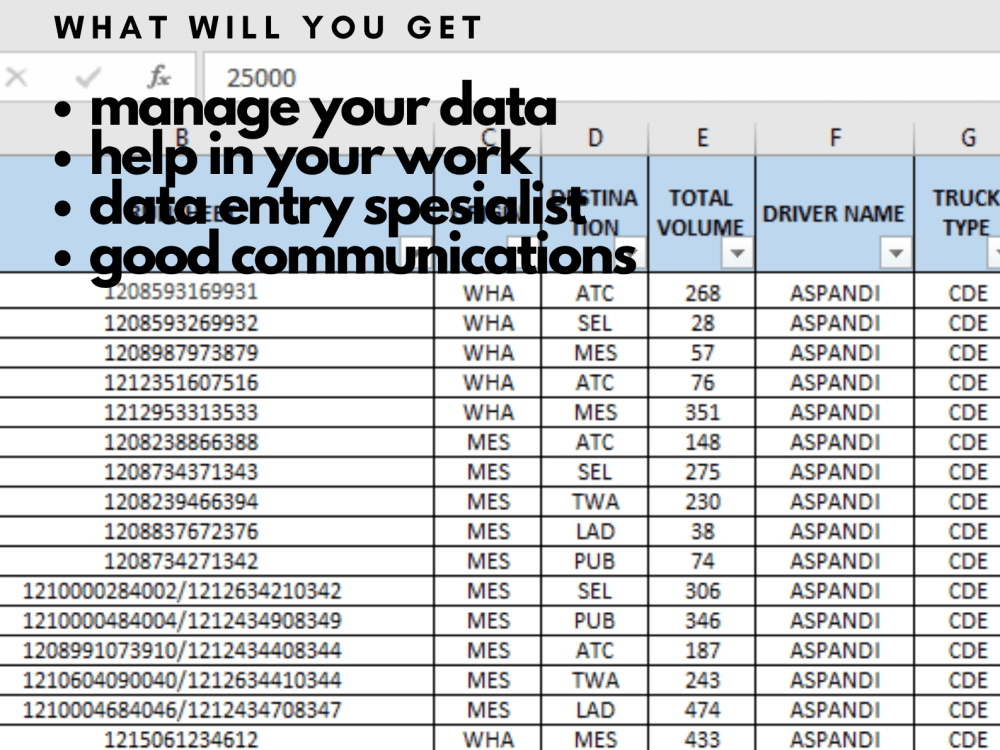 A virtual assistant who can help complete your work | Upwork