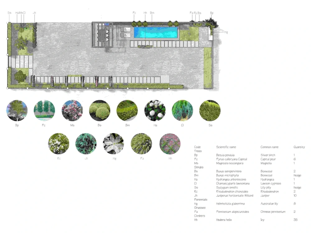 A beautiful 2d plan with details and plant list for your garden | Upwork