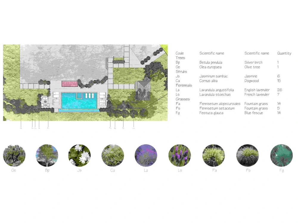 A beautiful 2d plan with details and plant list for your garden | Upwork