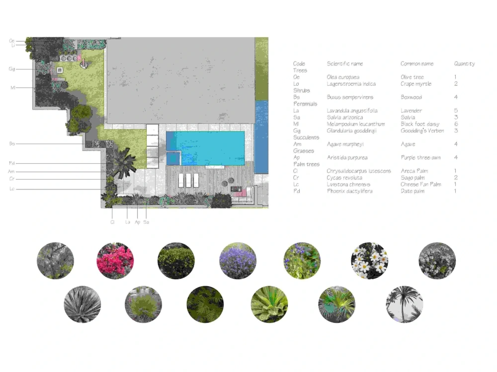 A beautiful 2d plan with details and plant list for your garden | Upwork