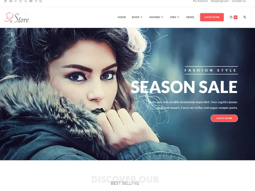 Install and Customize WordPress Website with premium themes. | Upwork