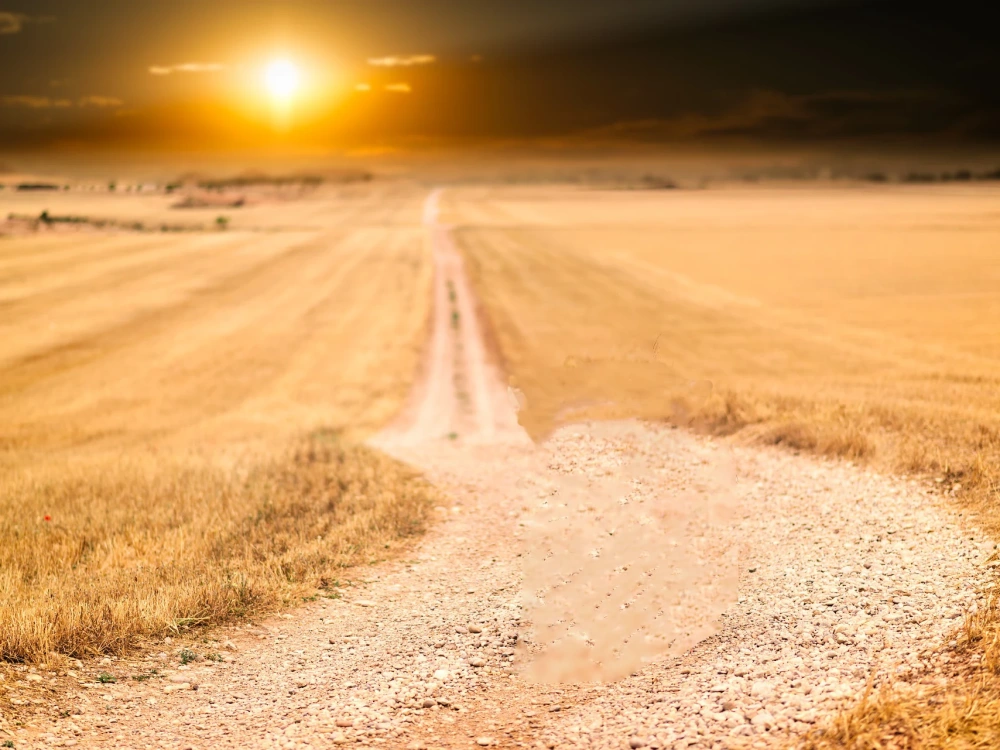 A transparent image, background removed, and change format from JPEG to ...