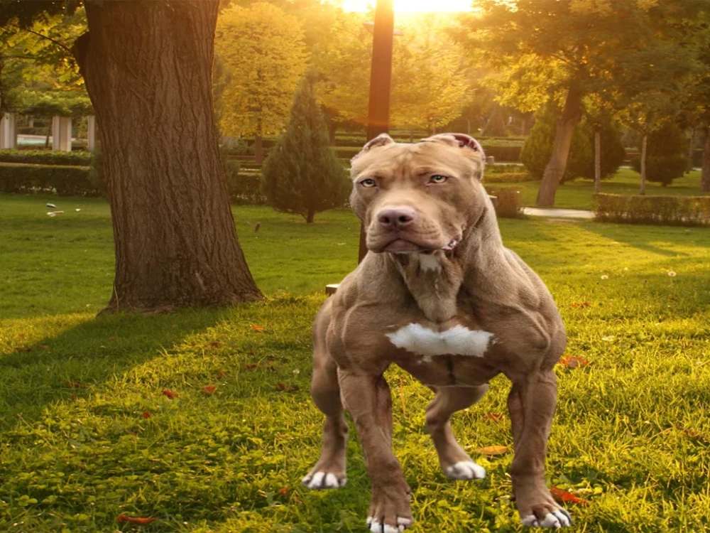 100 photos of background removal | Upwork