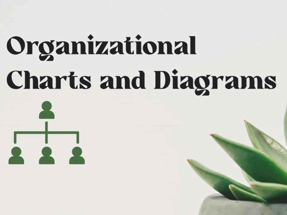 A custom designed organizational chart | Upwork