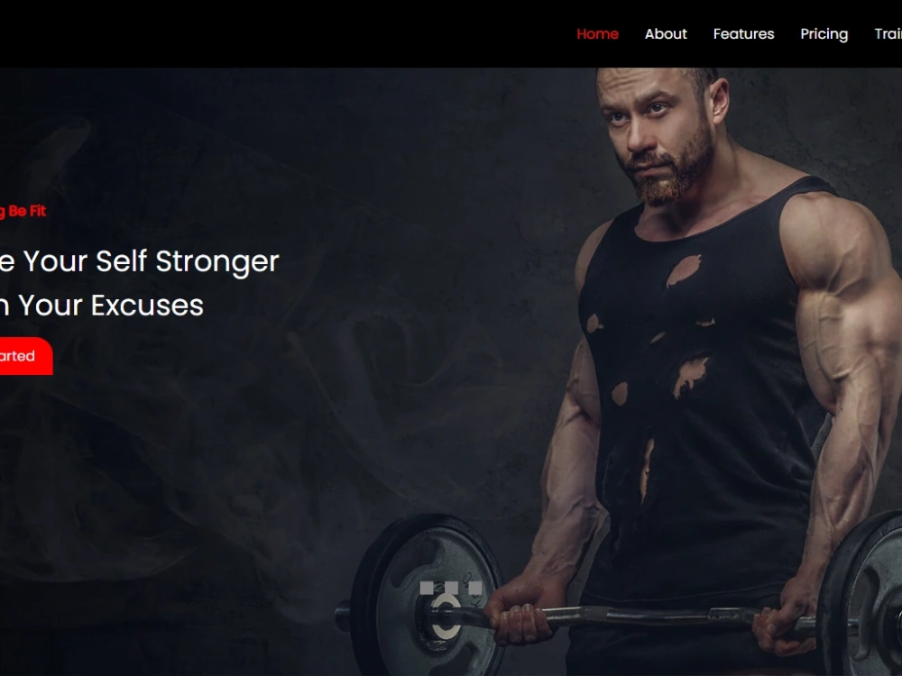 A good looking, pixel perfect and fully responsive website for all ...