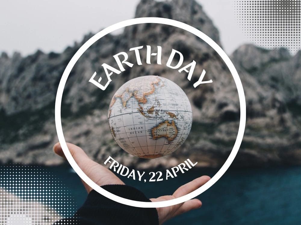 Current moderate logo, level logo, Custom logo plan for your business ...