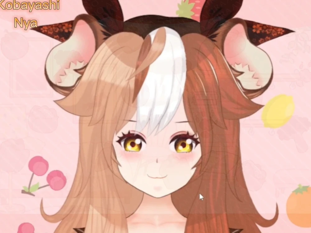 Live2d vtuber model rigging for vtube studio. | Upwork
