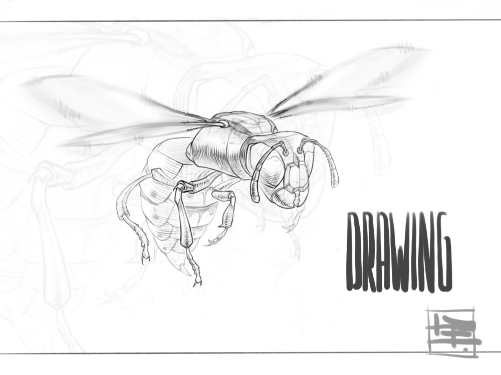 Detailed digital B&W line drawing. | Upwork