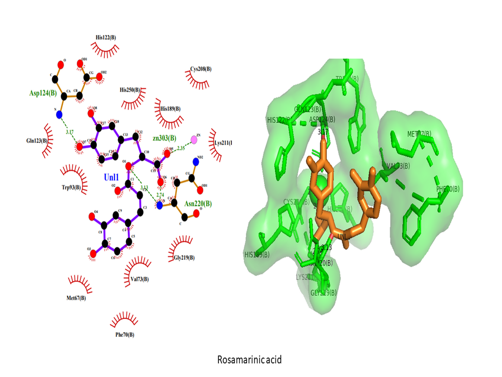 A Project On Molecular Docking And Molecular Dynamic Simulation Upwork
