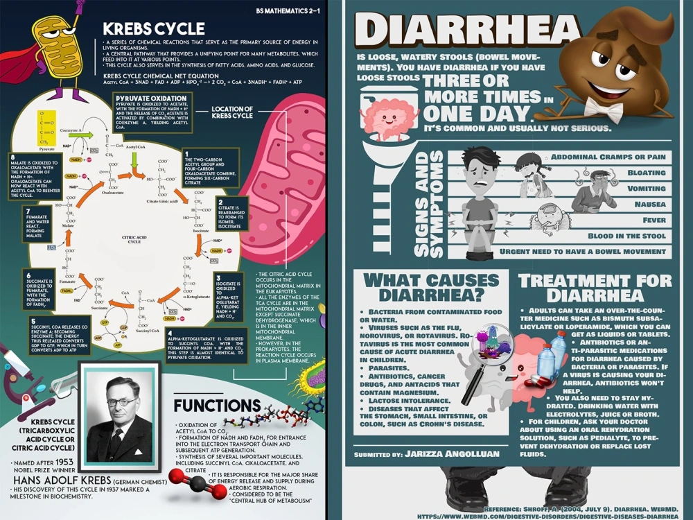 The best Infographics for school and work (short and legal size) | Upwork