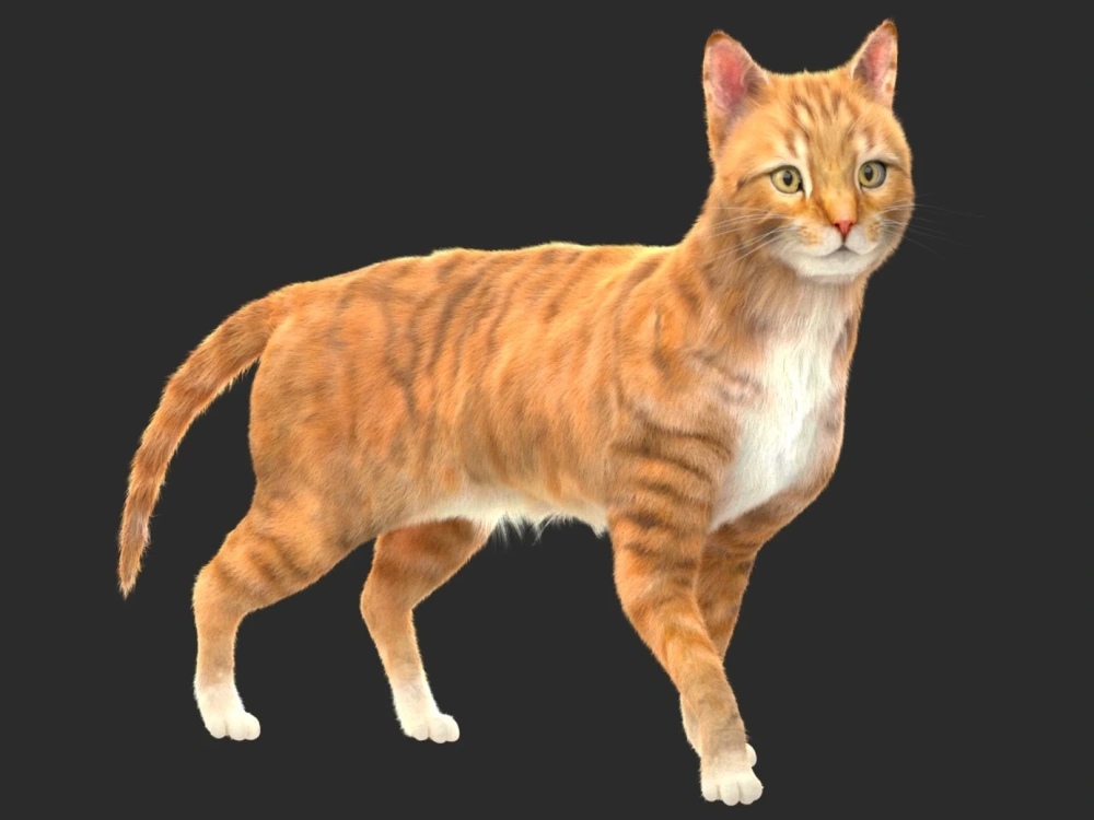 3d realistic animal character modeling ,rendering and animation | Upwork
