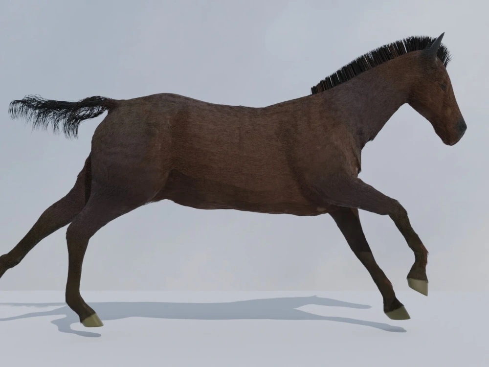 A realistic 3d animal animation, 3d animal character design | Upwork