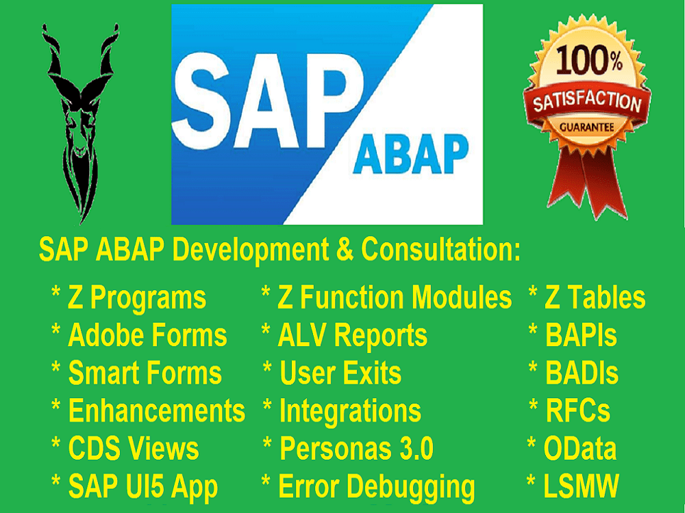 Remote SAP ABAP consultation and developments | Upwork