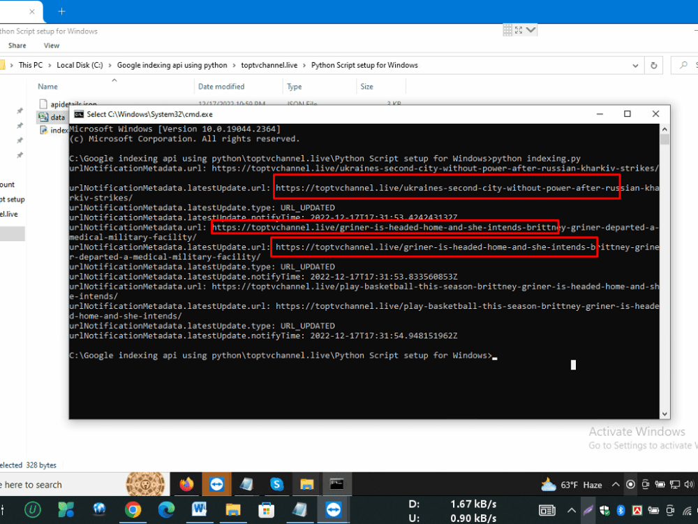 To set up the Google Indexing API with Python to quickly index URLs | Upwork