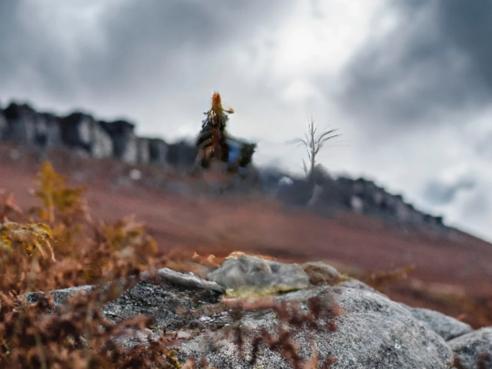 To remove objects from the picture | Upwork