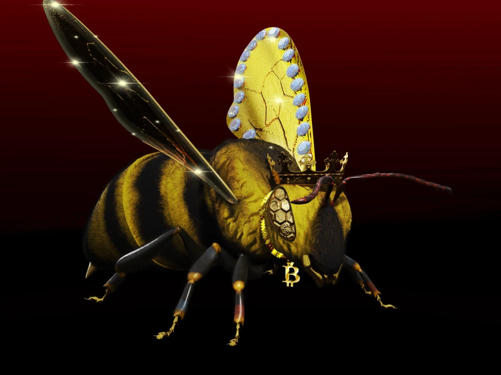 3d nft art collections with custom nft characters | Upwork