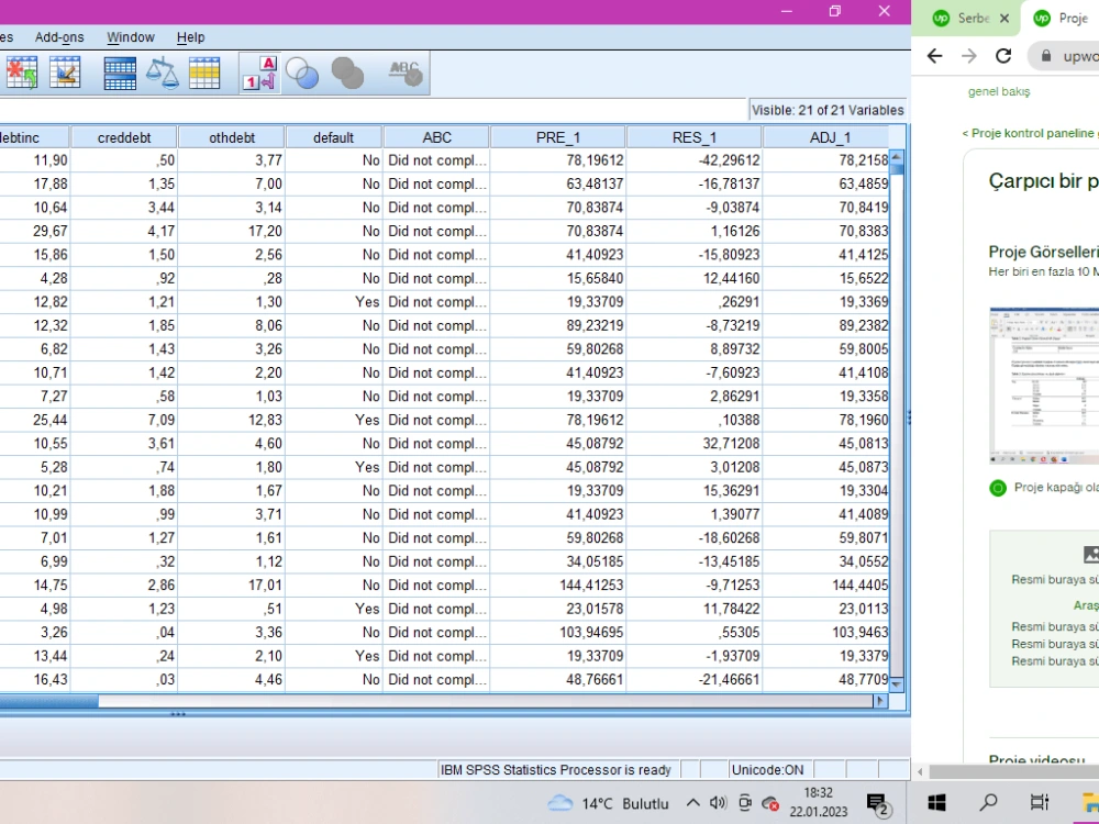 Do data analysis and data interpretation on spss | Upwork