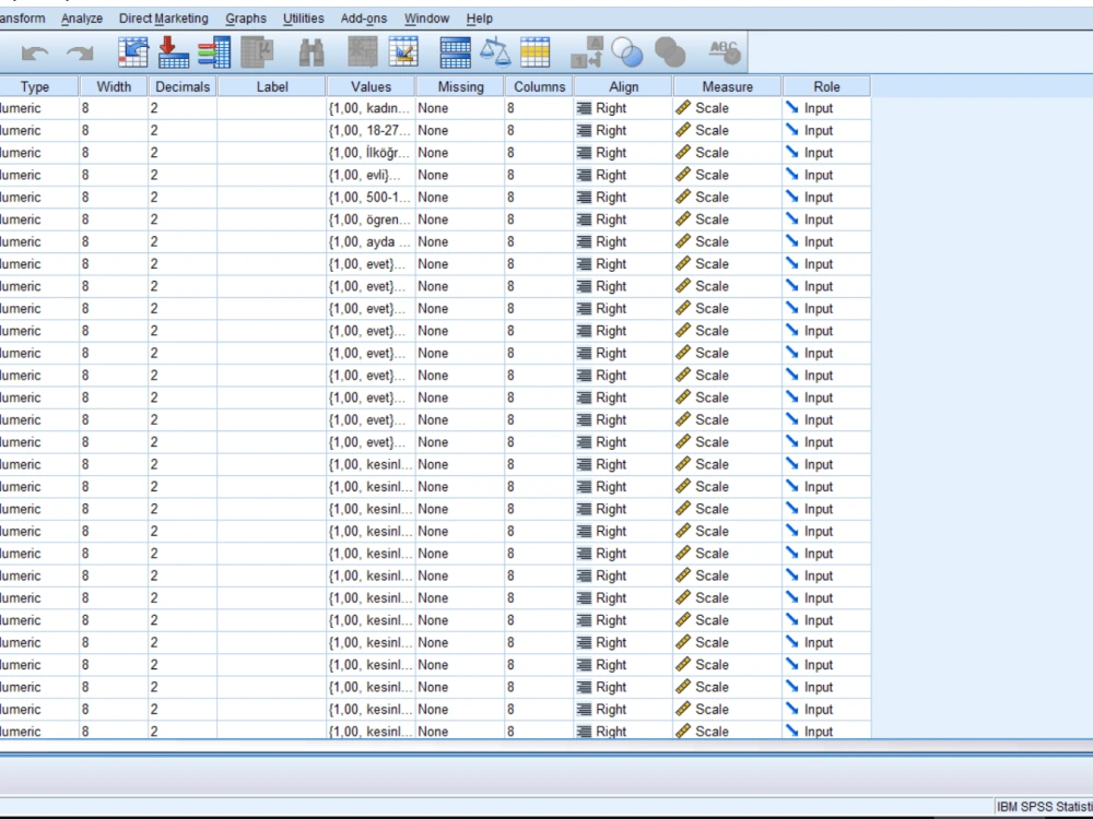 Do data analysis and data interpretation on spss | Upwork