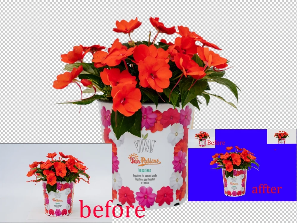 Professional Background Remove and Product Image Editing | Upwork
