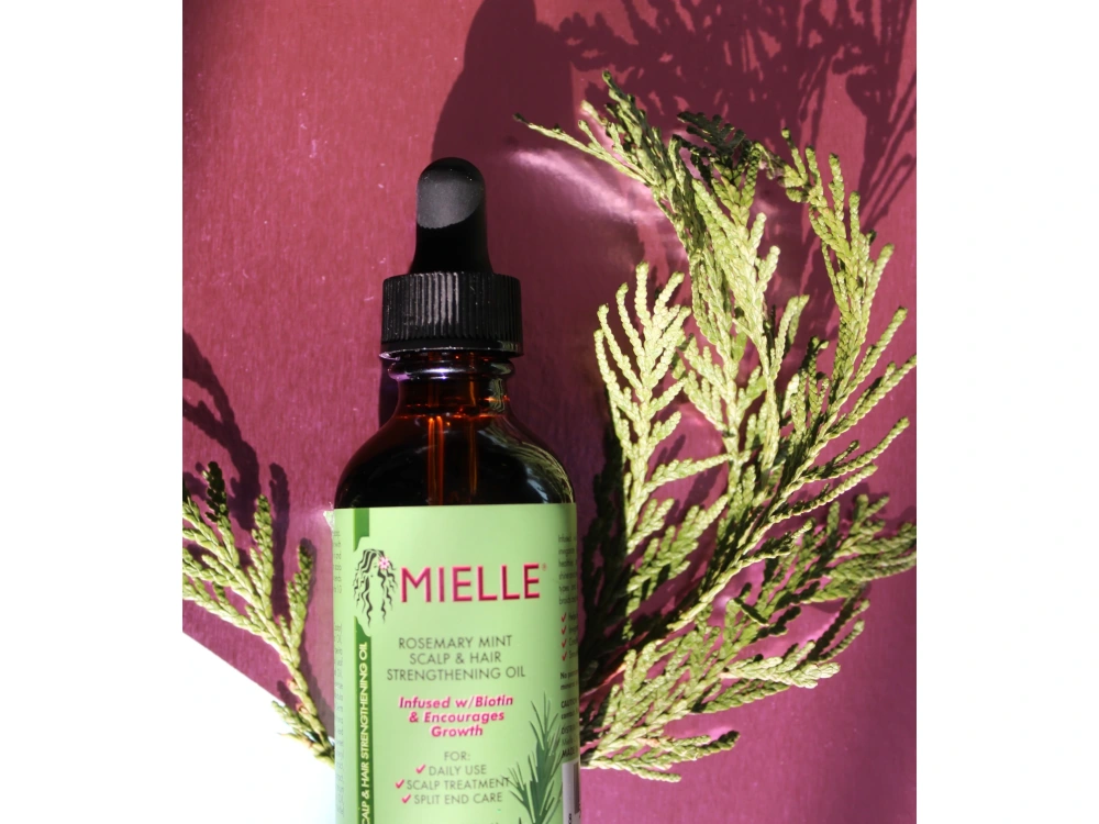 3 UGC videos highlighting the best of your project! + 3 alternative ...