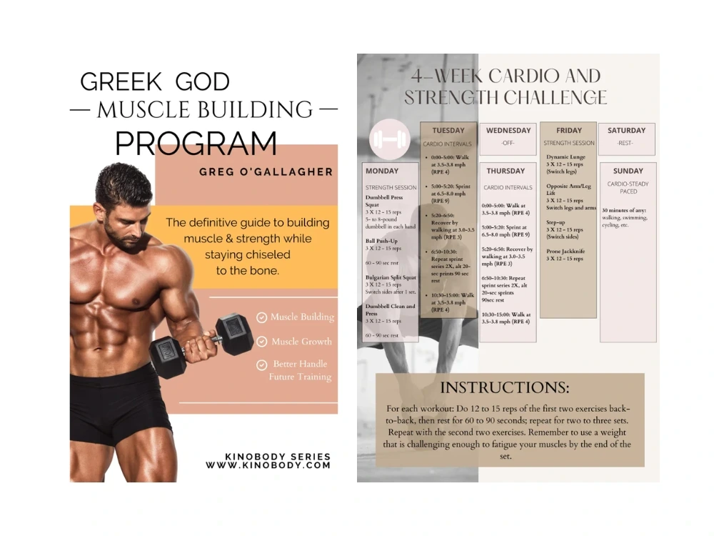 An editable ready-made workout program template in Canva | Upwork