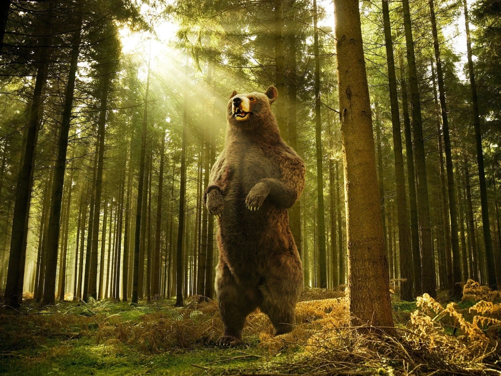 Perfect 3D animal Design animal animation | Upwork