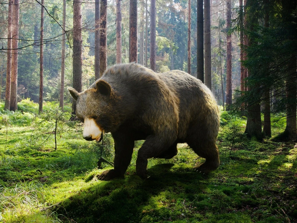 Perfect 3D animal Design animal animation | Upwork