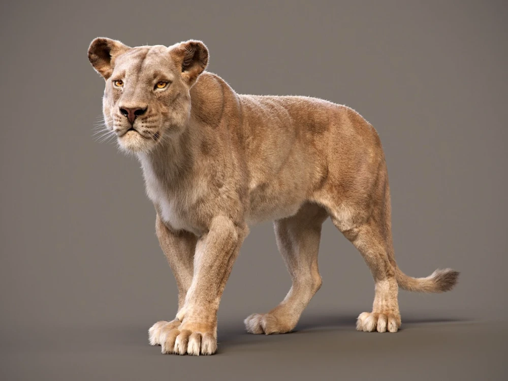 Perfect 3D animal Design animal animation | Upwork