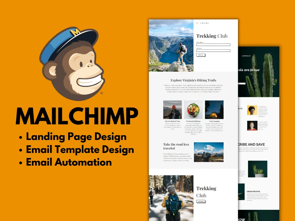 Mailchimp landing page, mailchimp automation, email templates | Upwork