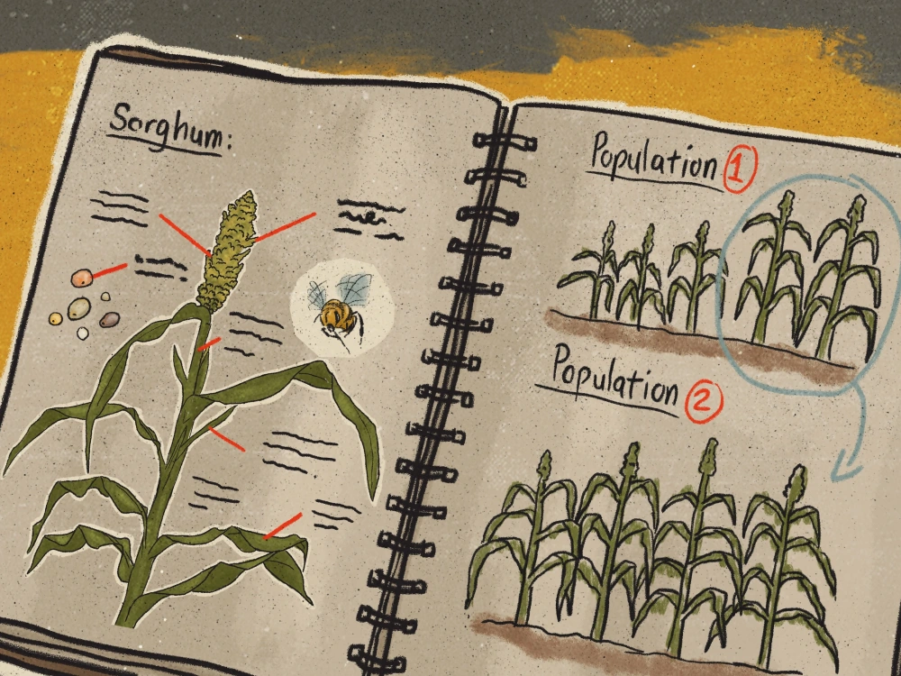 Explainer Video - Storyboard, Illustration, Animation and Sound Design ...