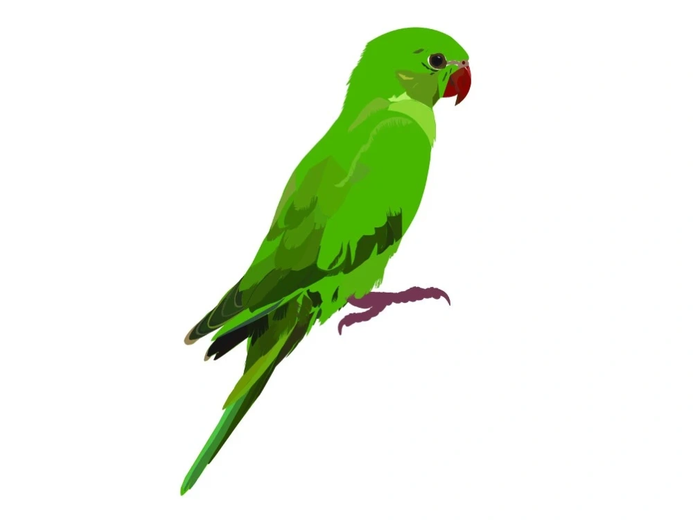 A fantastic outline drawing & vector tracing from your hand-drawn ...