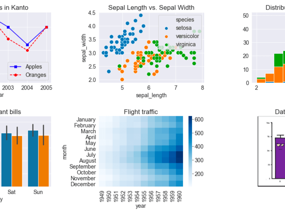 Data Visualisation Data Analysis, Data Wrangling, and more using python | Upwork