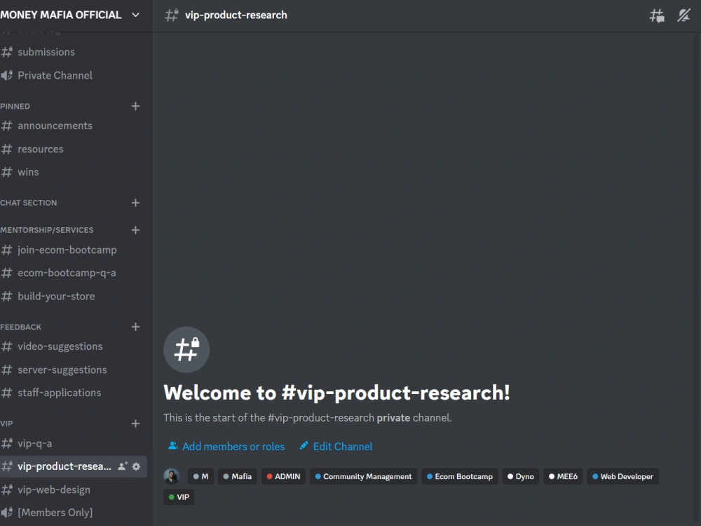 Fully functioning Discord for your community. Including Bots, Roles ...