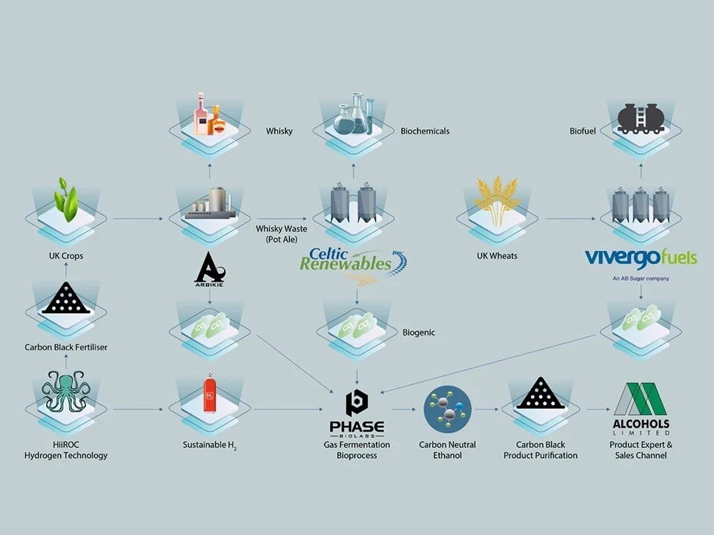 A Professional Infographics Design according to your requirement | Upwork