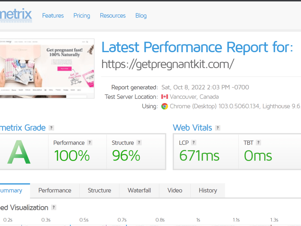 90+ scores on Google Page Speed and GTmatrix, WordPress Speed optimization | Upwork