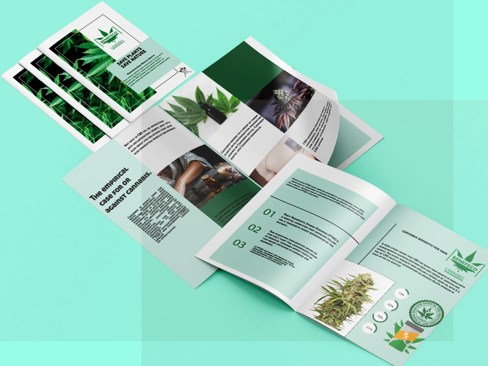 Modern and professional Brochure Booklet Design. | Upwork
