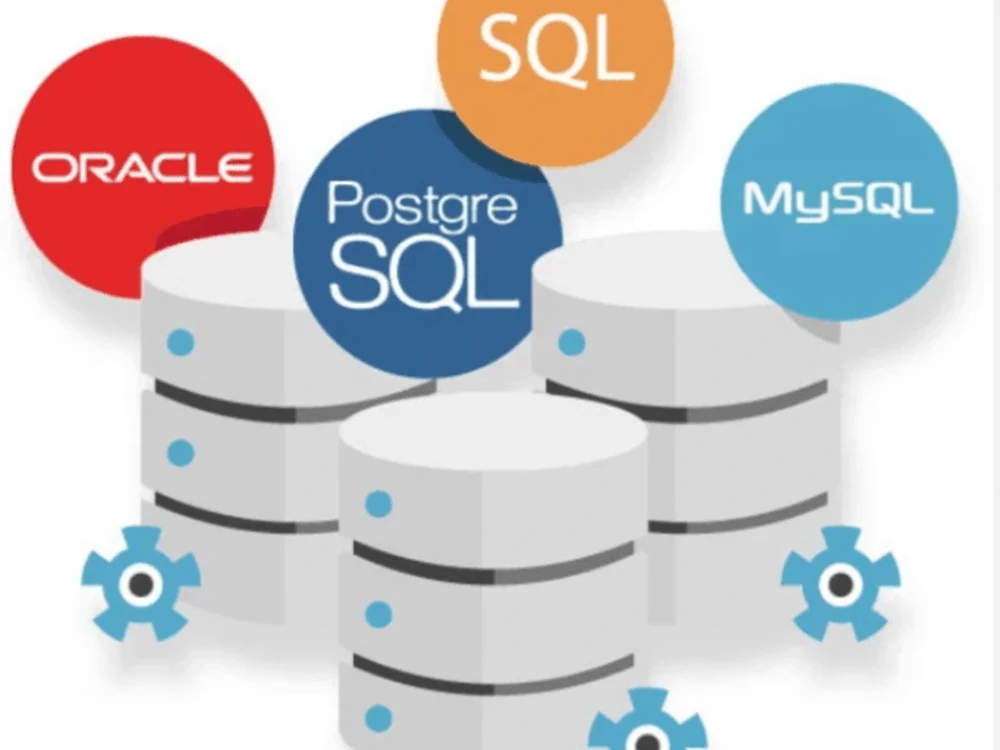 Designed Database Mysql Ms Access Oracle And Queries Upwork