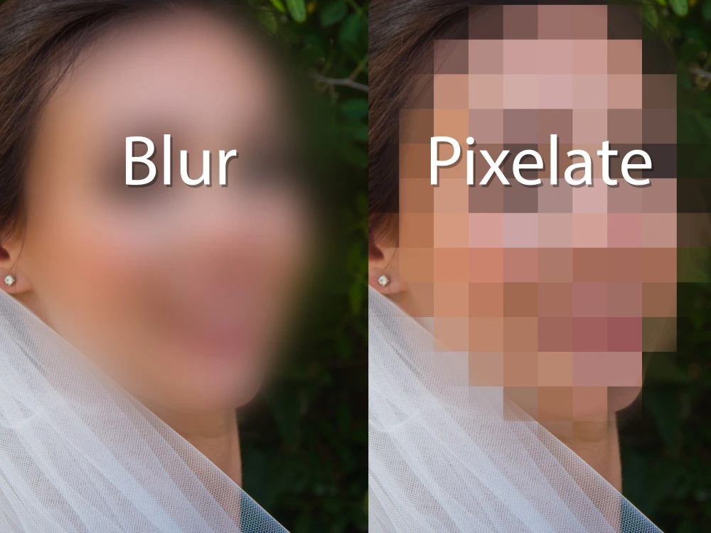 Blurring/ censoring/ pixelating/ mosaic blurring of 1 minute of video | Upwork