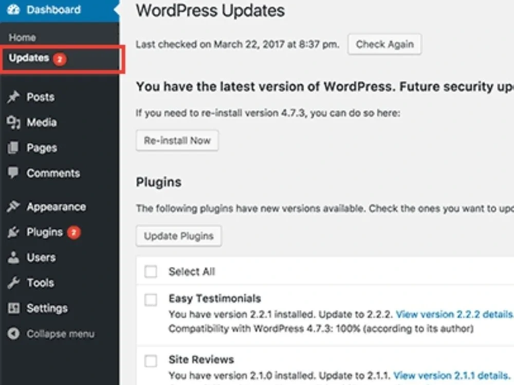 Install Elementor pro, Astra pro, Crocoblock, wp rocket original ...
