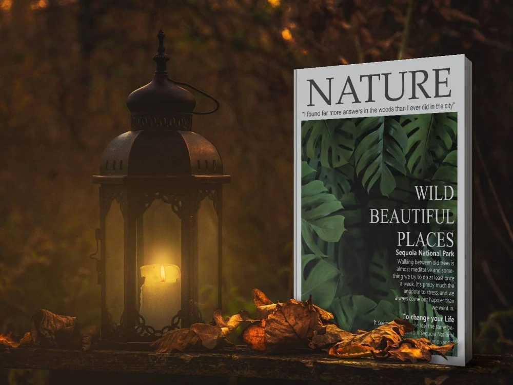 A unique, professional and creative Book cover and eBook cover design ...