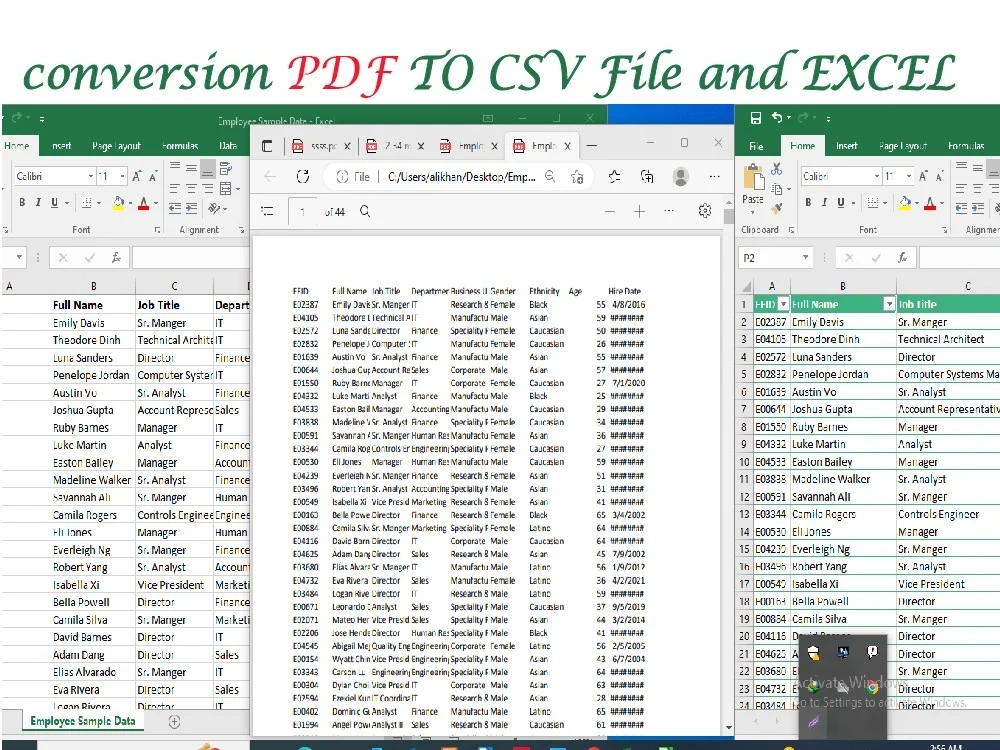 PDF Conversion Microsoft Word and Excel, PowerPoint | Upwork